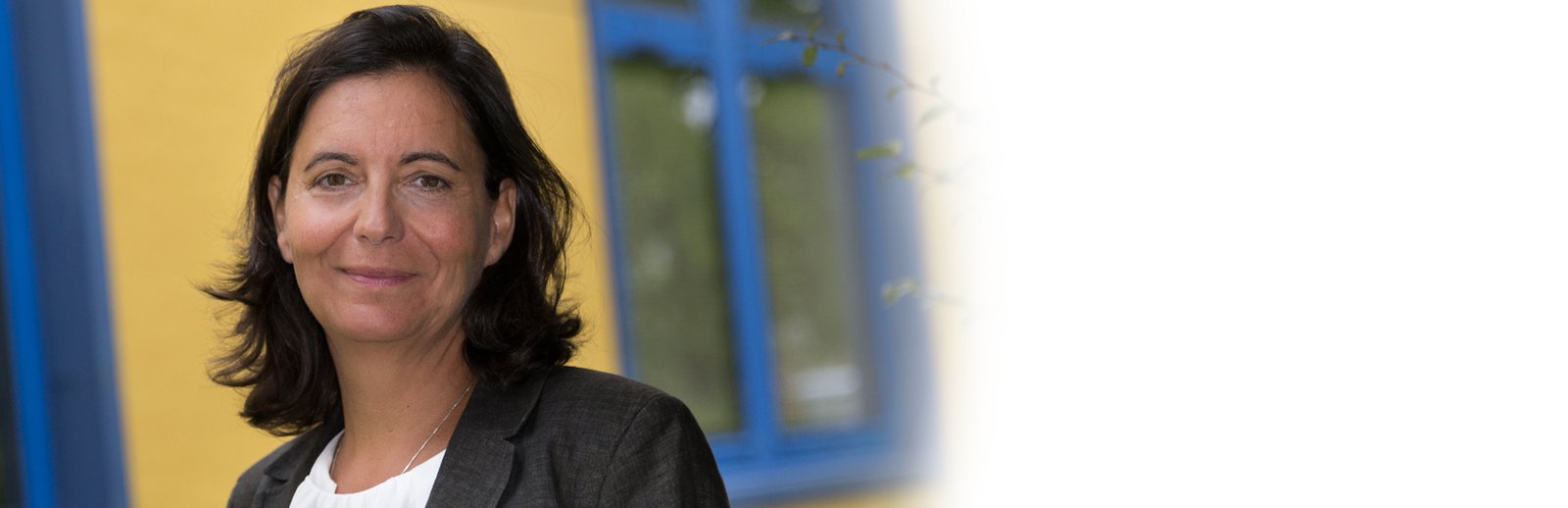 A2P Développement – Vous accompagner dans vos projets personnels et ...